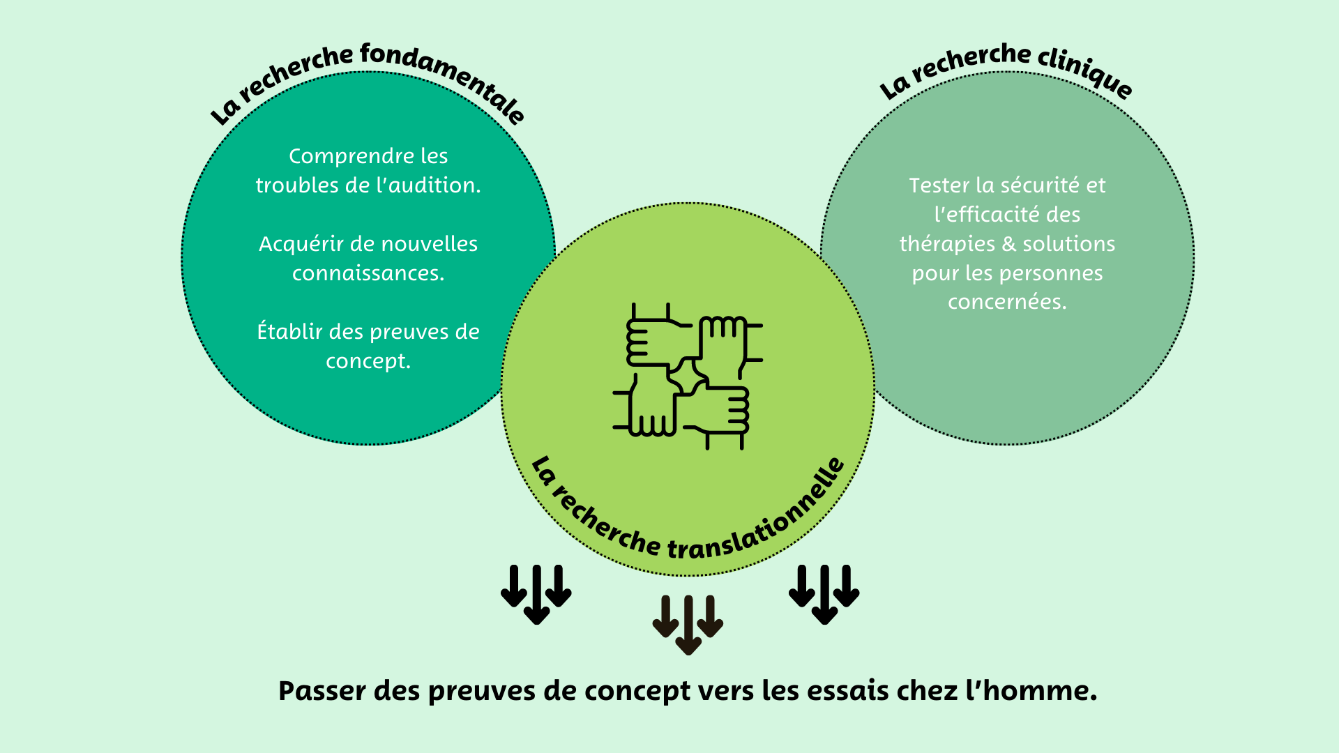 Impact des soutiens à la recherche scientifique et médicale de la ...